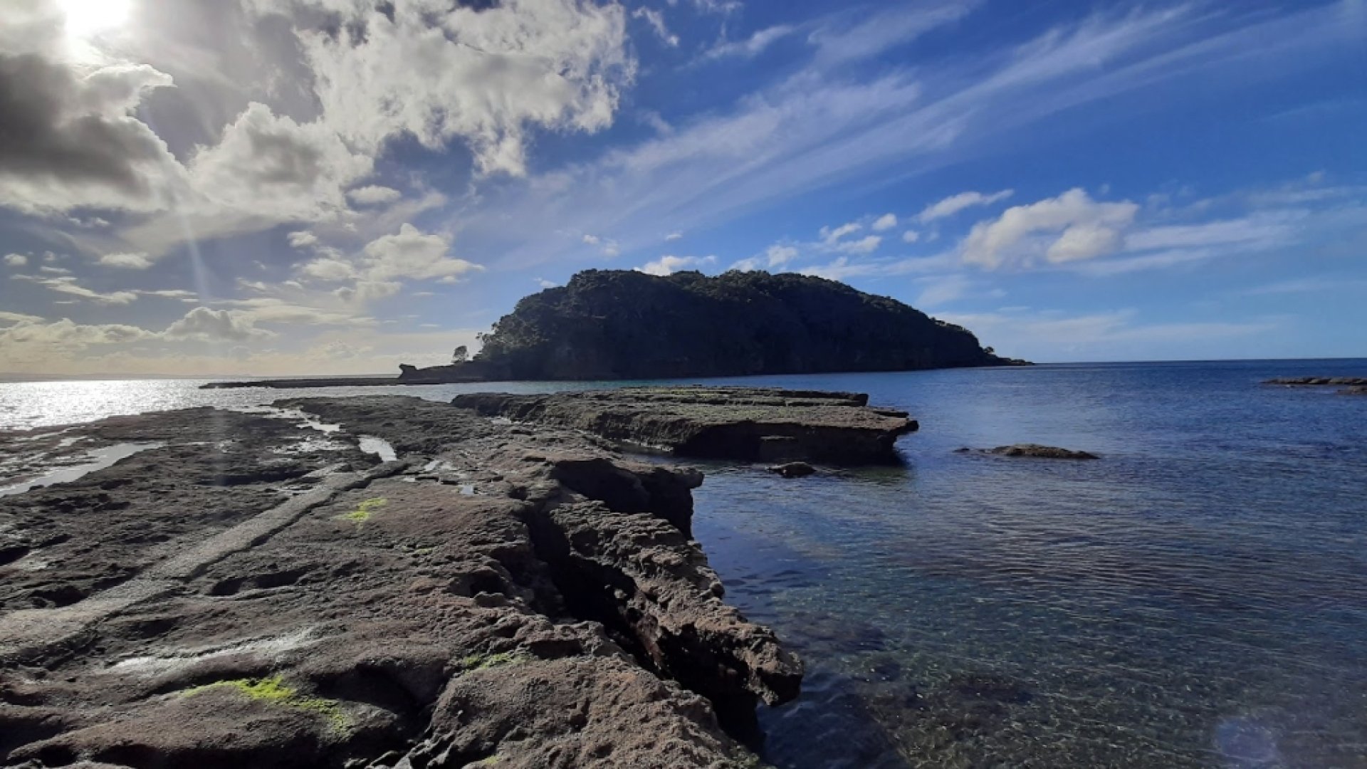 Goat Island Marine Discovery Centre, Auckland: Information, Tickets and ...