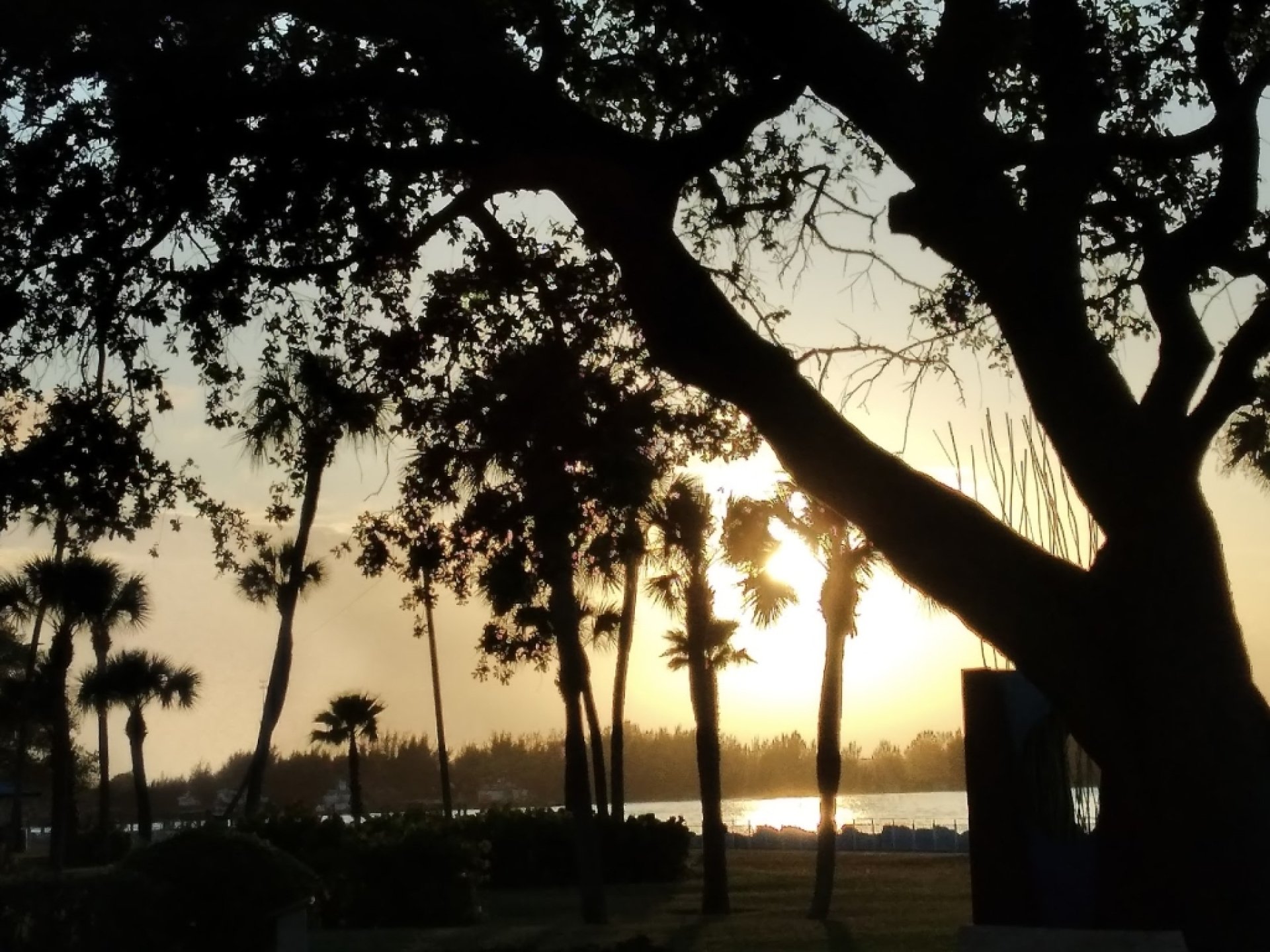Exhibición de Ecosistemas Marines del Smithsonian, Fort Pierce, FL ...
