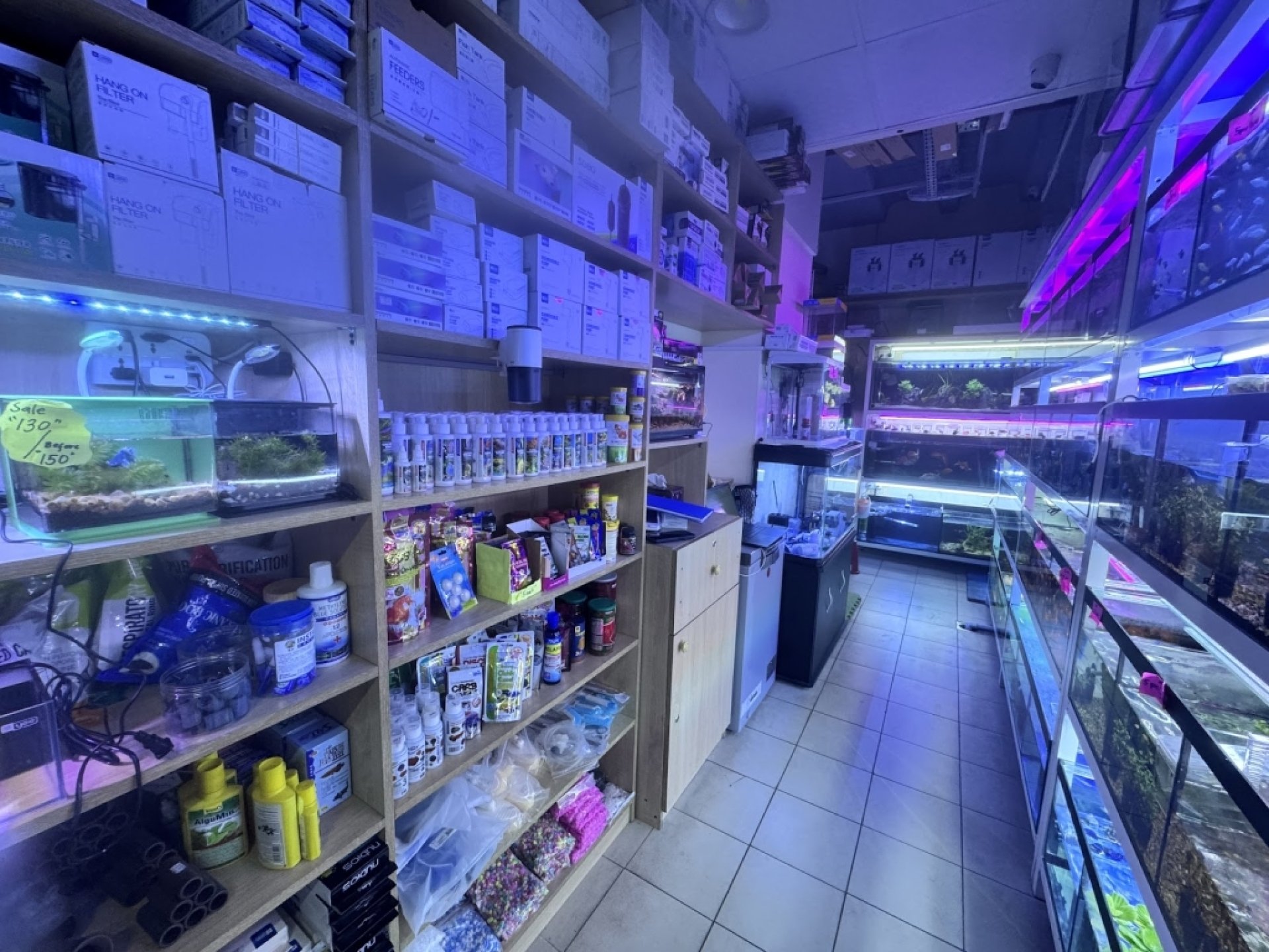 Jasmin Fish Aquarium, Dubai: Information, Tickets and Reviews