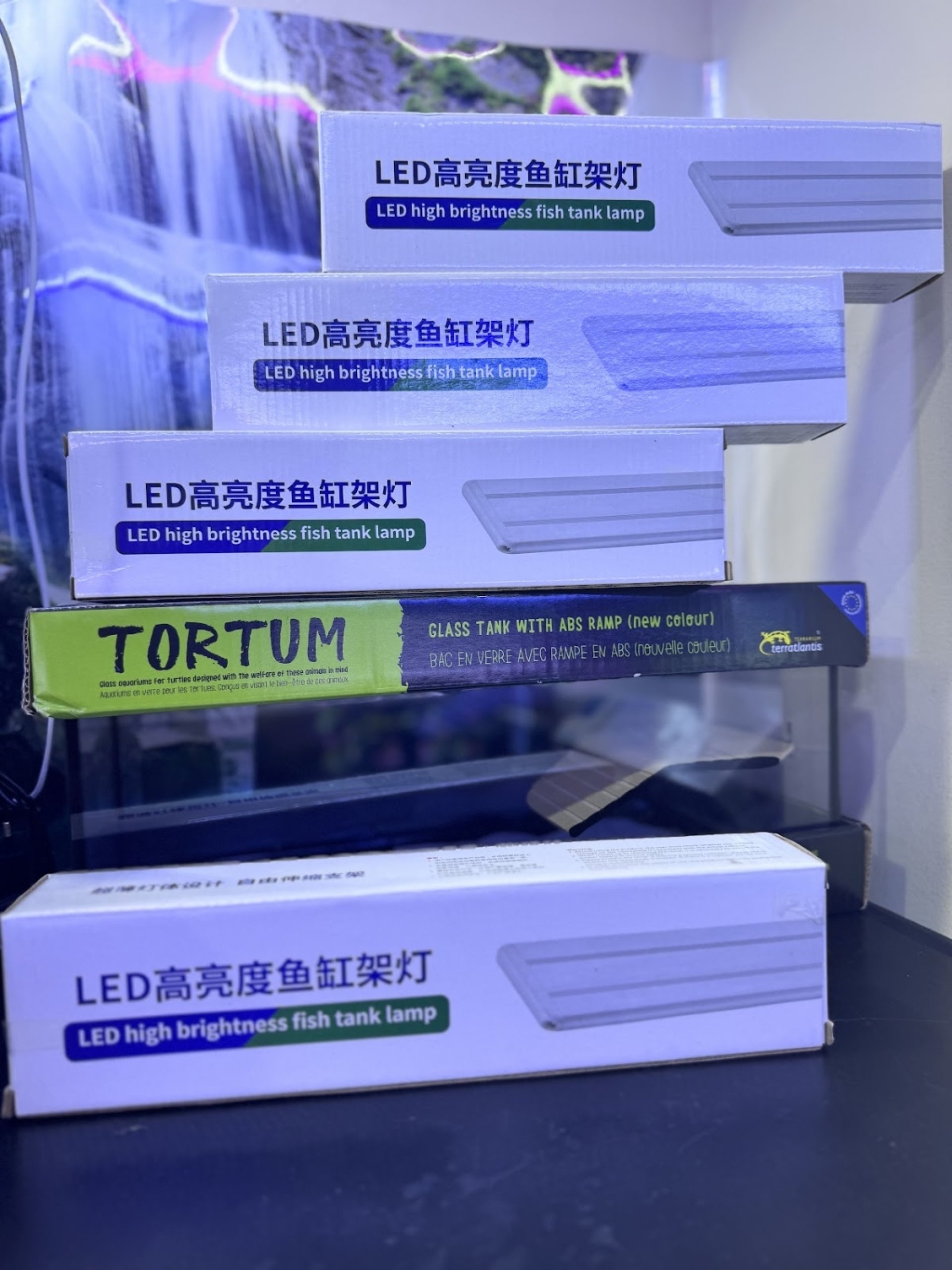 Jasmin Fish Aquarium, Dubai: Information, Tickets and Reviews