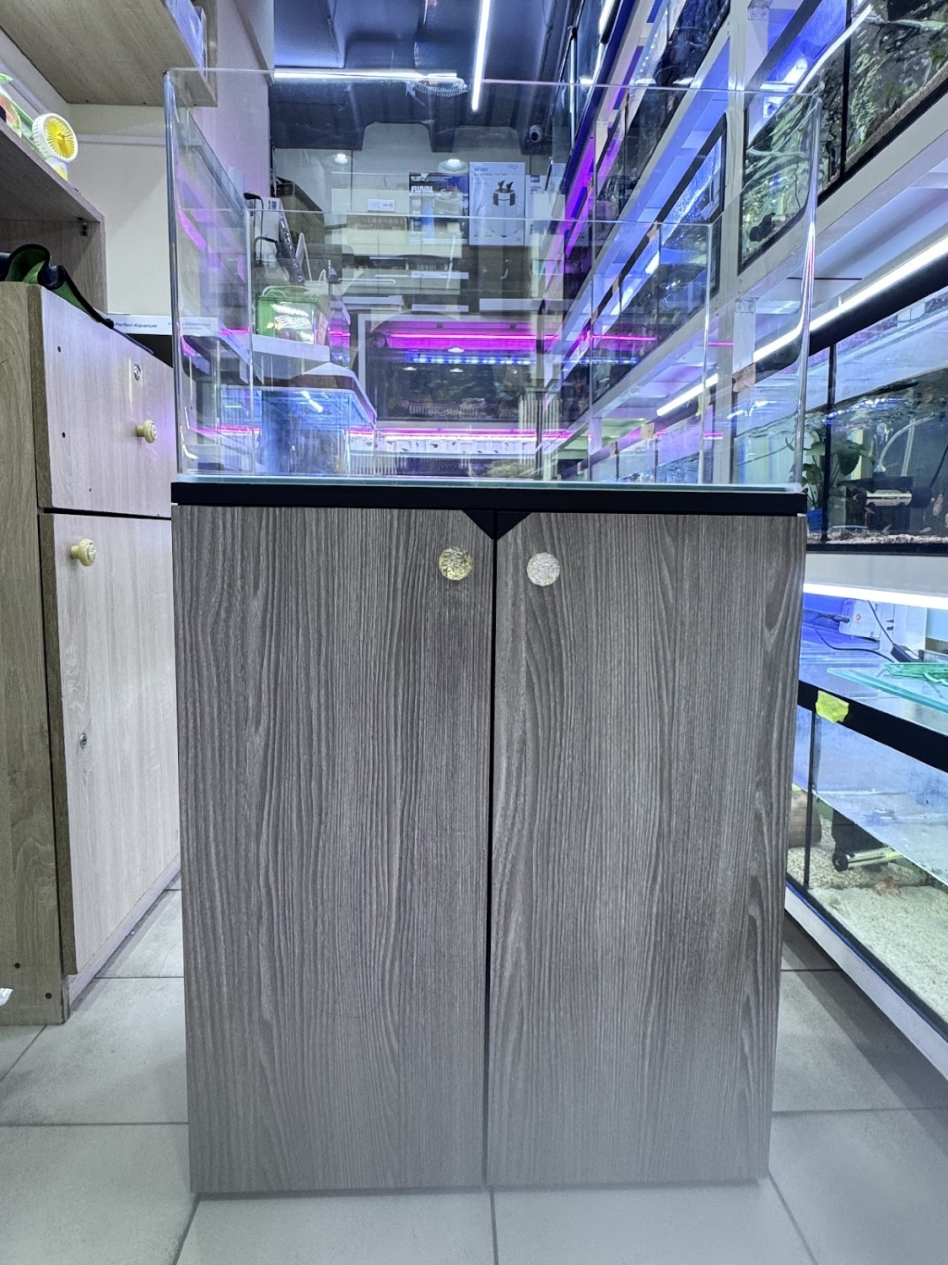 Jasmin Fish Aquarium, Dubai: Information, Tickets and Reviews